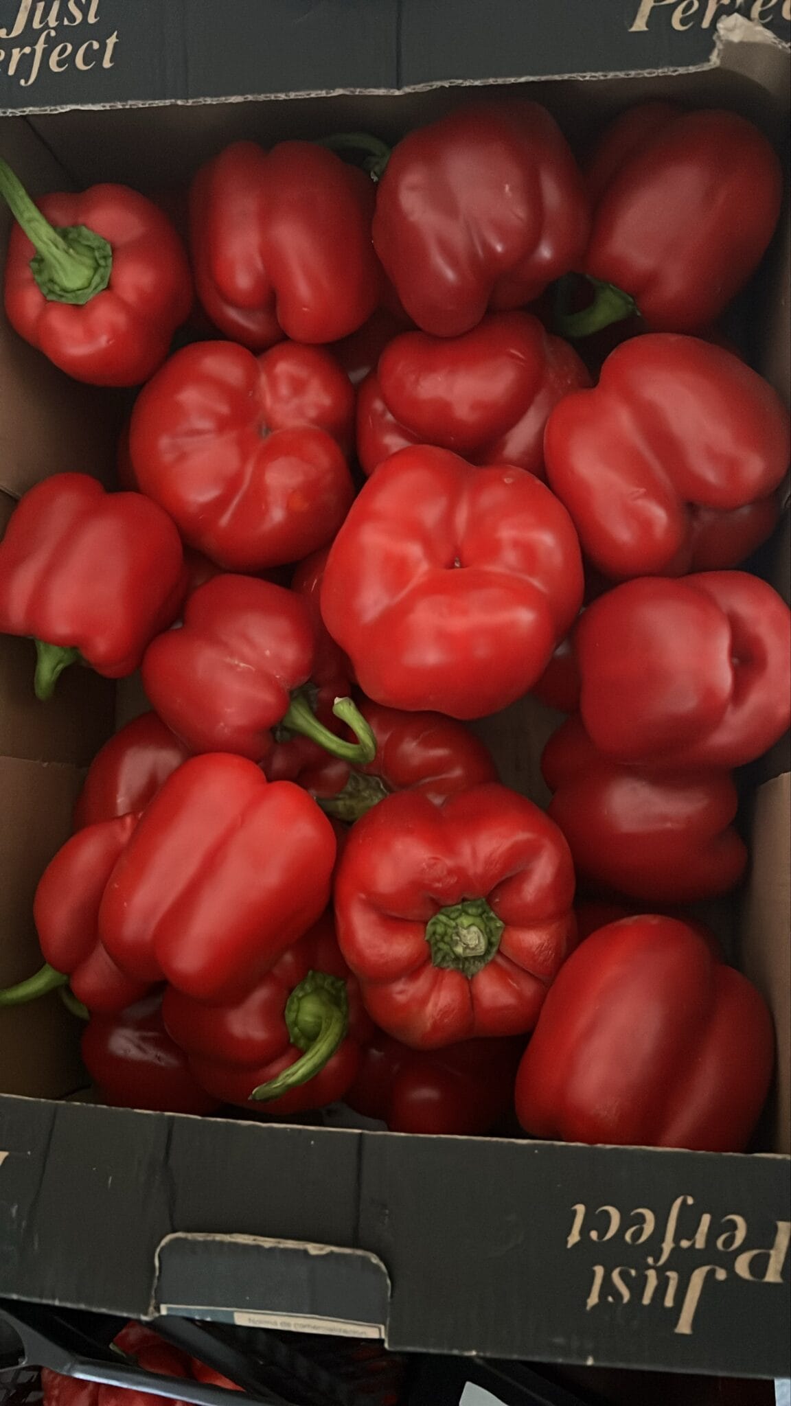 Red Bell Peppers Box – Clarice Essentials